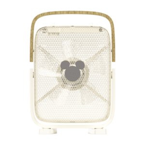 Asahi DBX-100 Disney Box Fan - Ansons