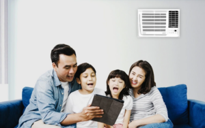 Carrier WCARH009EEVC2 1.0 HP Window Type Airconditioner - Ansons