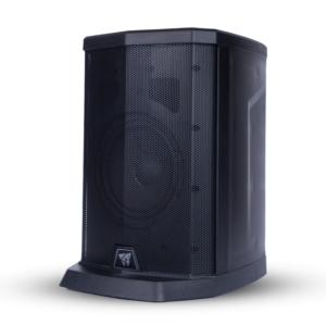 WOW! Audio Dinamico Compact Portable Column System - Ansons