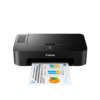 Canon PIXMA TS207 Compact Printer - Ansons